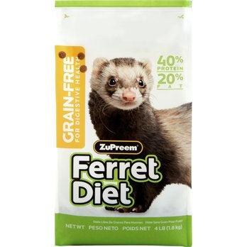 Best Ferret Food: Wet Food, Pellets & More - Low Prices (Free Shipping ...