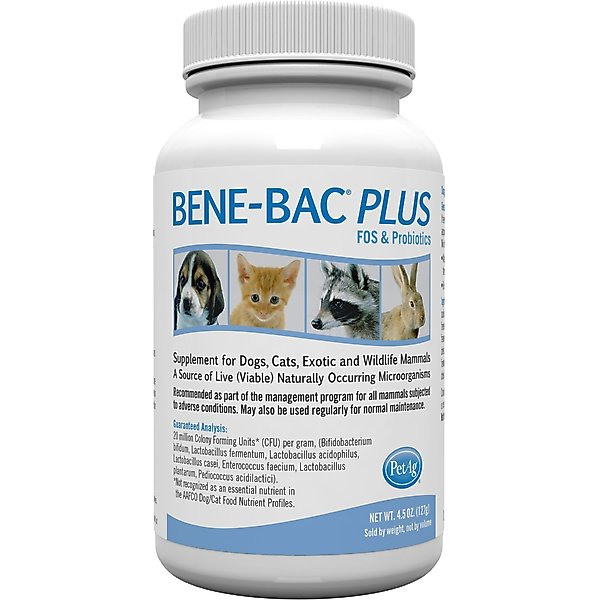 PETAG Bene-Bac Plus FOS & Probiotics Powder Supplement, 4.5-oz - Chewy.com