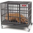PROSELECT Empire Single Door Steel Dog Crate, 33.75-in - Chewy.com