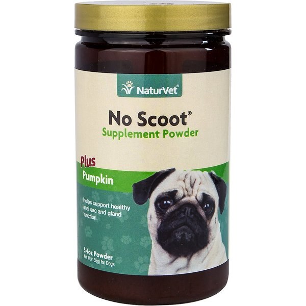NATURVET No Scoot Plus Pumpkin Soft Chews Digestive Supplement for Dogs ...