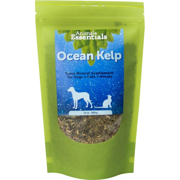 ANIMAL ESSENTIALS Herbal Green Alternative Dog & Cat Supplement, 12-oz ...