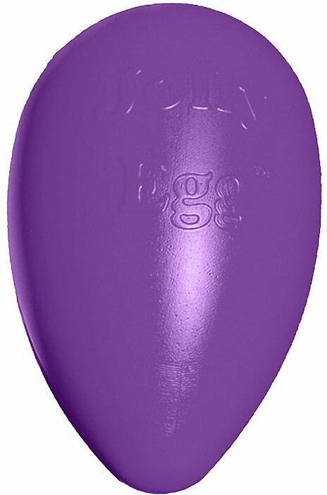 JOLLY PETS Jolly Egg Dog Toy, Purple, 8-in - Chewy.com