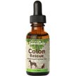 ANIMAL ESSENTIALS Colon Rescue Herbal GI Support Dog & Cat Supplement ...
