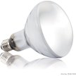 EXO TERRA Solar Glo All in One Reptile Bulb, 125-w - Chewy.com