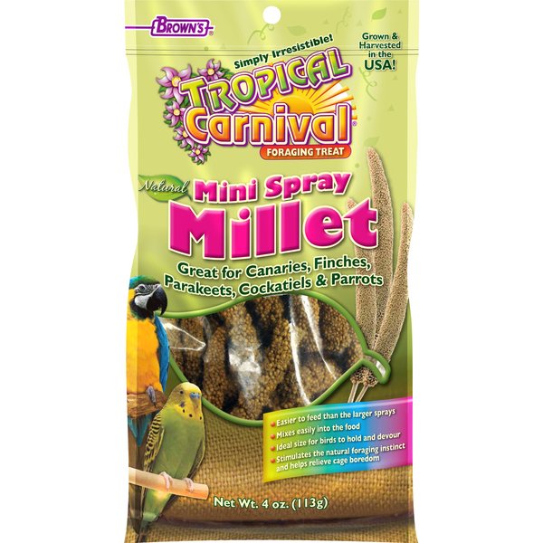 KAYTEE Natural Spray Millet Bird Treats, 24 count - Chewy.com