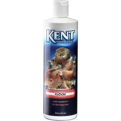 Kent Marine - Free shipping | Chewy