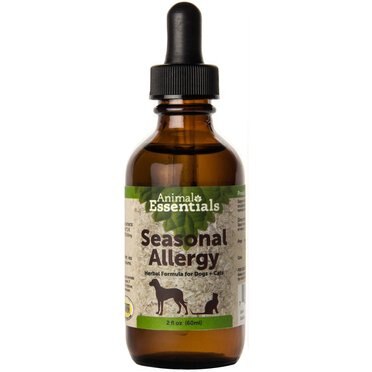 Animal Essentials - Free shipping | Chewy