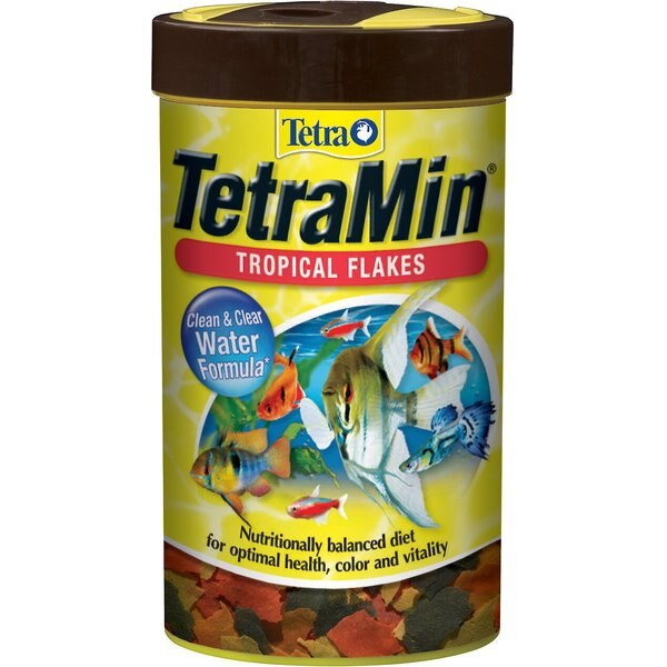 TETRAMin Tropical Flakes Fish Food, 3.53-oz jar - Chewy.com