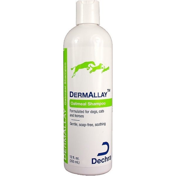 DERMABENSS Shampoo for Dogs, Cats & Horses, 12-fl oz bottle - Chewy.com
