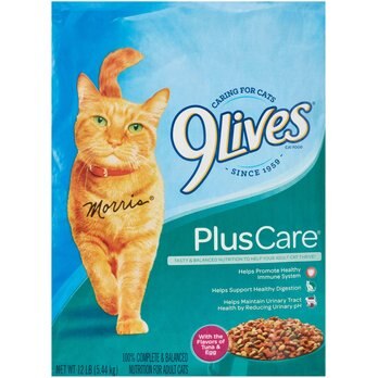 Best Dry Cat Food: Top Brands, Low Prices (Free Shipping) | Chewy