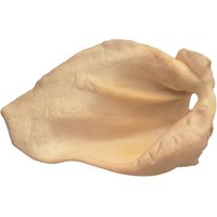 DOG BONES, BULLY STICKS & NATURAL CHEWS FOR LARGE BREEDS (Free Shipping ...