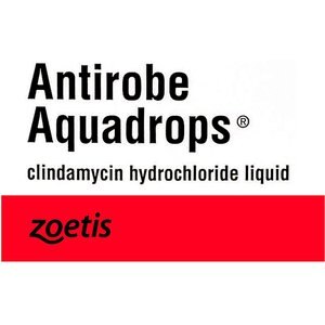 Zoetis - Free shipping | Chewy