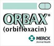 Orbax - Free shipping | Chewy