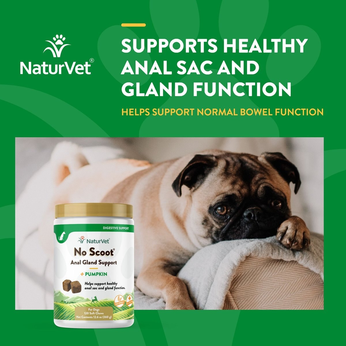 NATURVET No Scoot Plus Pumpkin Soft Chews Digestive Supplement for Dogs ...