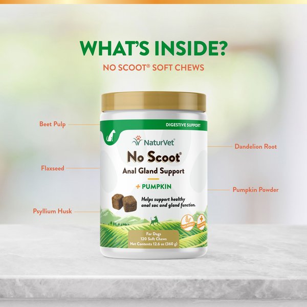 NATURVET No Scoot Plus Pumpkin Soft Chews Digestive Supplement for Dogs ...