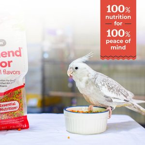 10 Best Bird Foods 2024: According to Reviews | Chewy