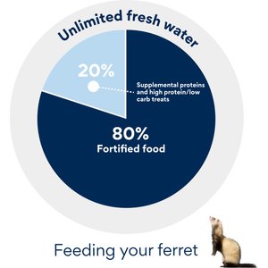 10 Best Ferret Foods 2024: According to Reviews | Chewy