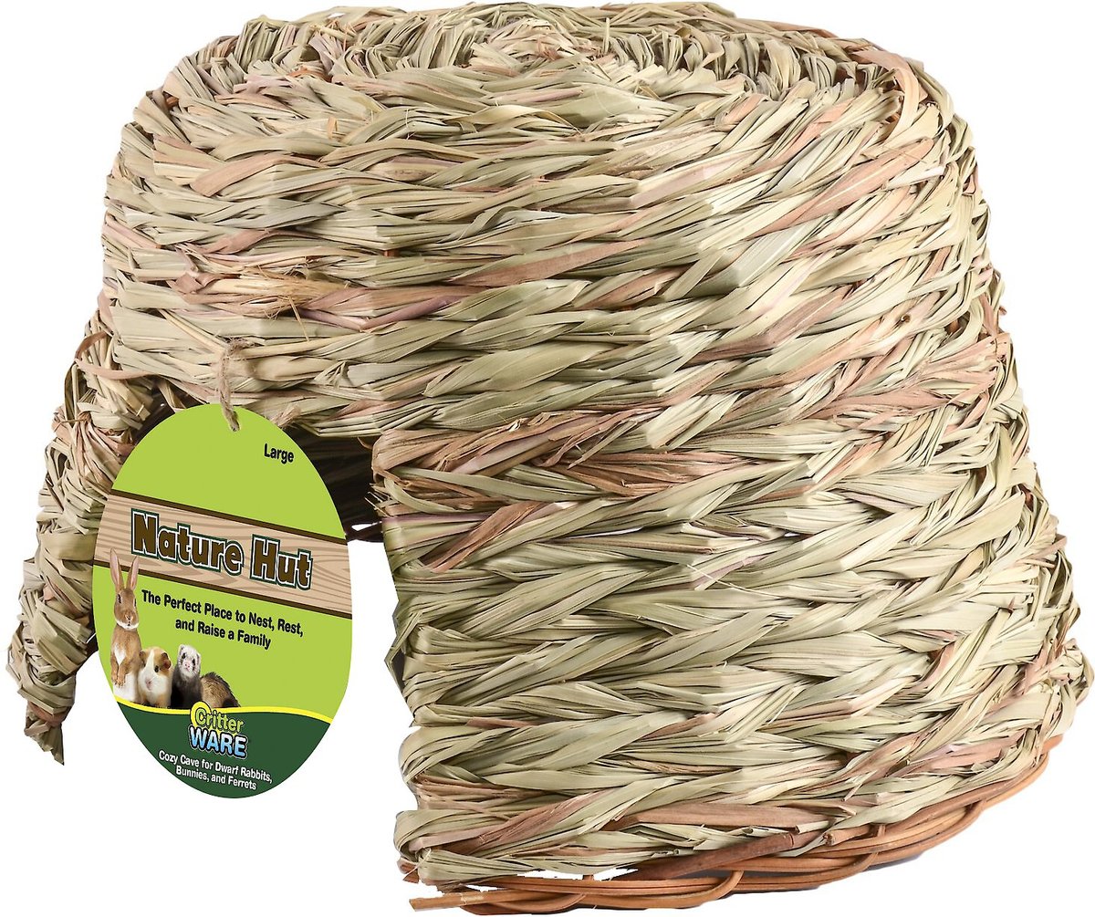 10 Best Hideouts for Guinea Pigs 2023: According to Reviews | Chewy