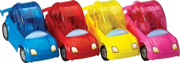 KAYTEE Critter Cruiser Small Animal Exercise Wheel, Color Varies, Small ...