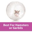 KAYTEE Run-About Small Animal Exercise Ball, 7-in - Chewy.com