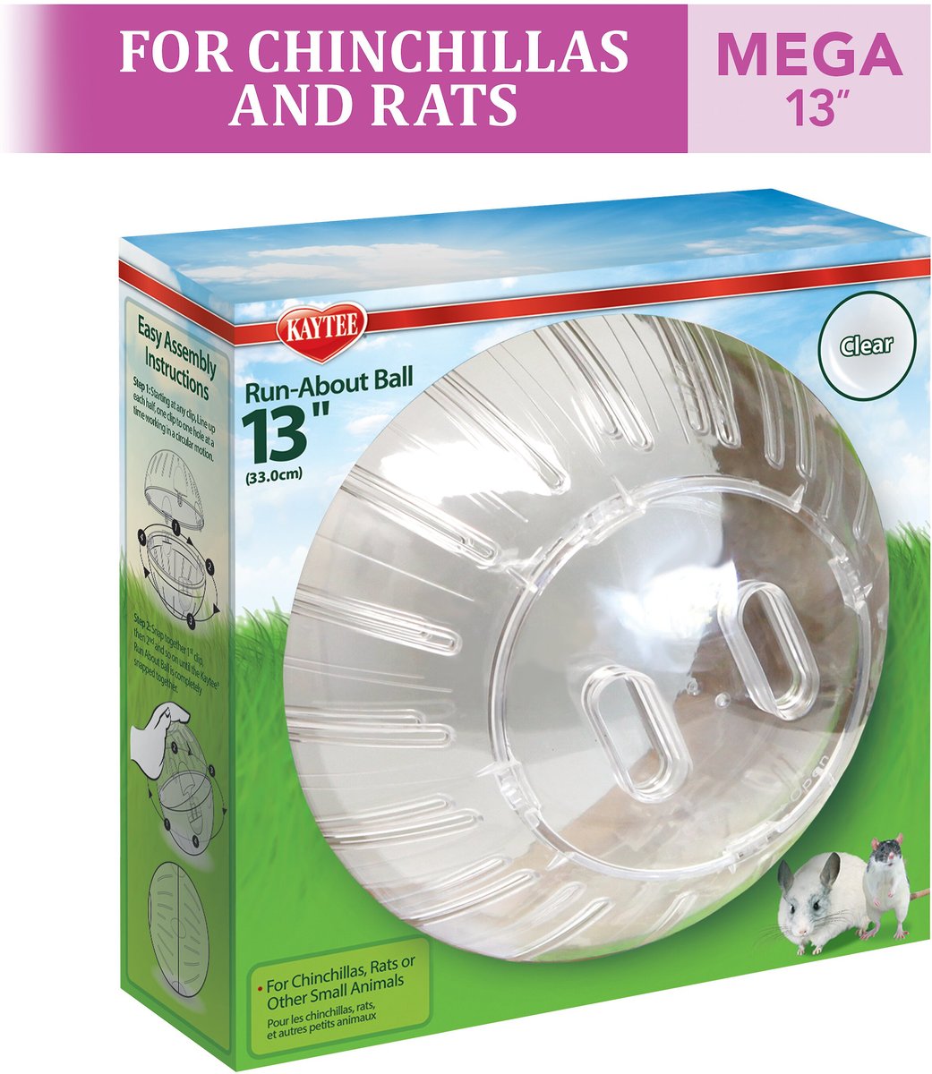 KAYTEE Run-About Small Animal Exercise Ball, 13-in - Chewy.com