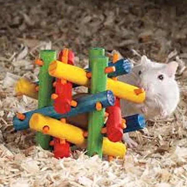 KAYTEE Nut Knot Nibbler Small Animal Chew Toy, 4-in - Chewy.com