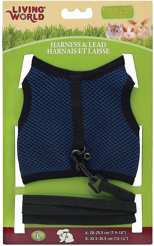 LIVING WORLD Small Animal Harness & Lead, Color Varies, Large - Chewy.com