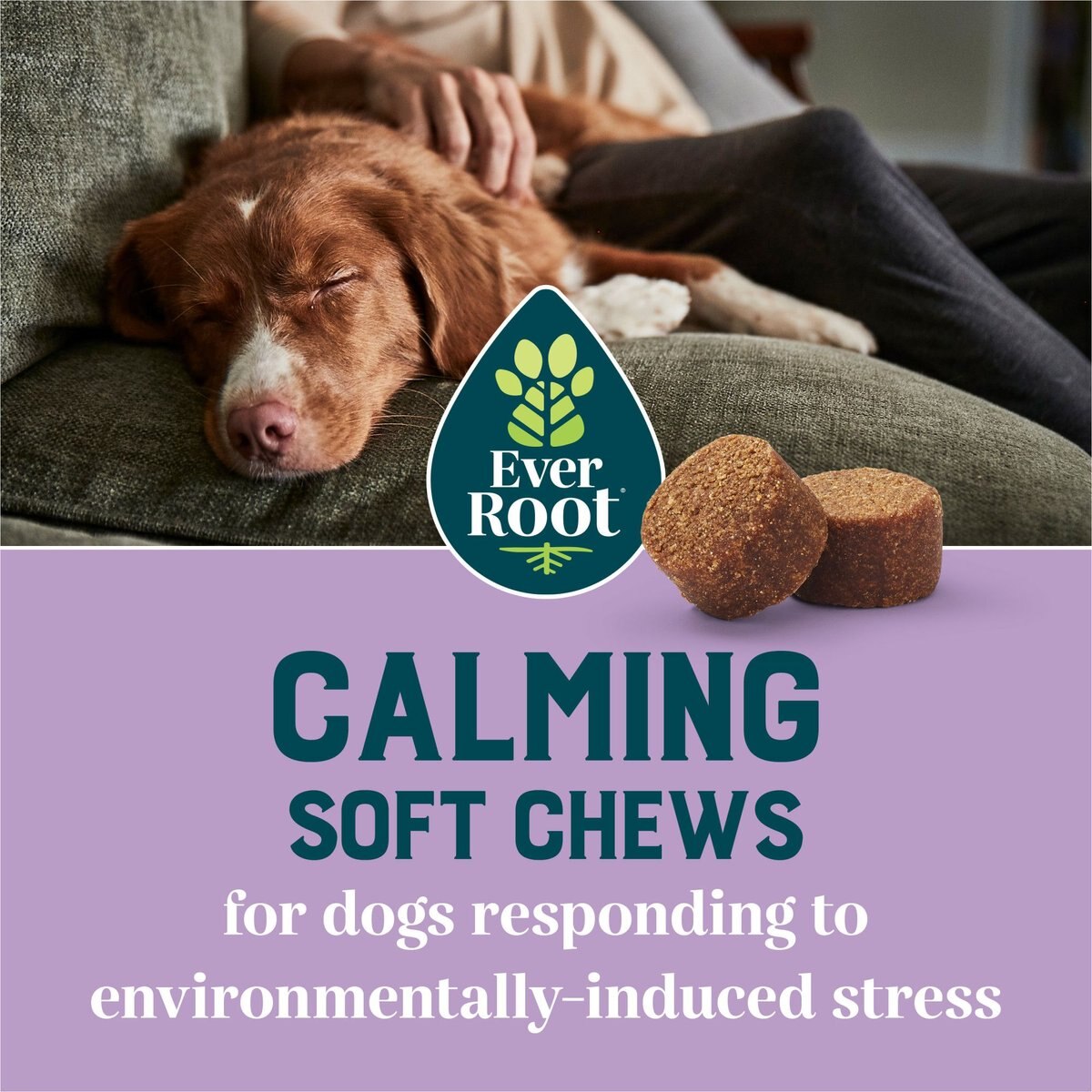 EVERROOT By Purina Calming Soft Chews Supplement for Dogs, 10.6-oz ...