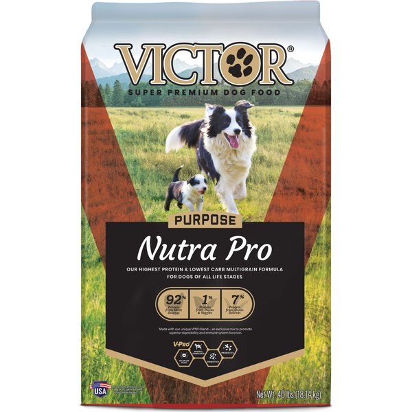 VICTOR Purpose Performance Formula Dry Dog Food, 40-lb bag - Chewy.com