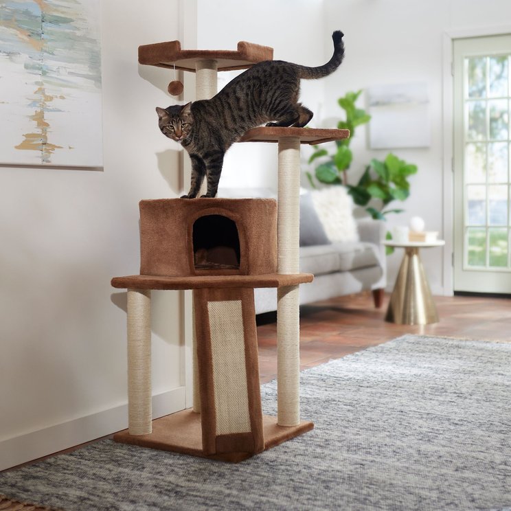 Medium Cat Trees & Condos: 31-59" Tall (Free Shipping) | Chewy