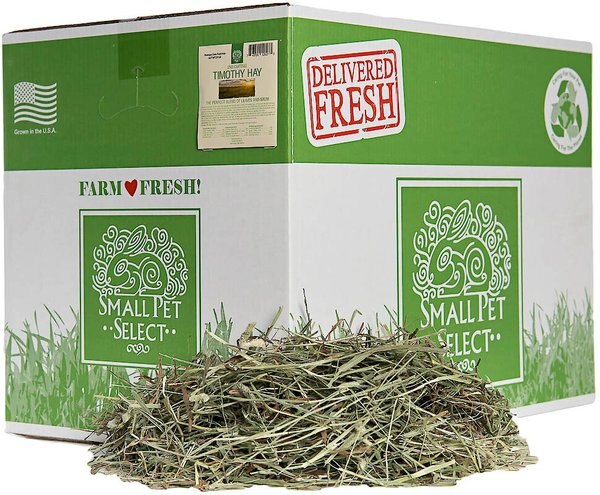 SMALL PET SELECT Second Cut Timothy Hay Small Animal Food, 20-lb box ...