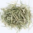 SMALL PET SELECT Second Cut Timothy Hay Small Animal Food, 20-lb box ...
