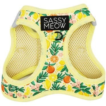 Sassy Woof - Free shipping | Chewy