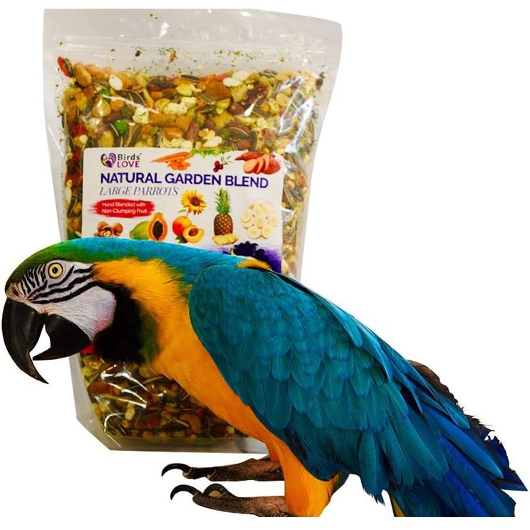 Large Bags Of Parrot Food (Free Shipping) | Chewy