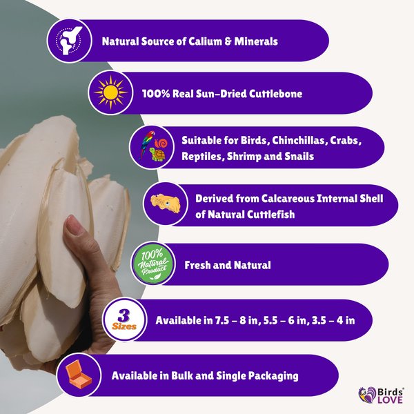 BIRDS LOVE Cuttlebone Calcium Block Supplement for Birds, Tortoise ...