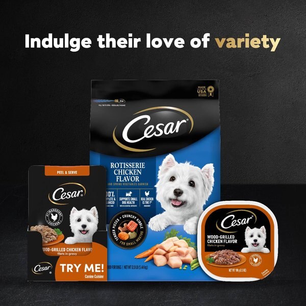 CESAR Wood-Grilled Chicken Flavor Filets in Gravy Wet Dog Food, 1.76-oz ...