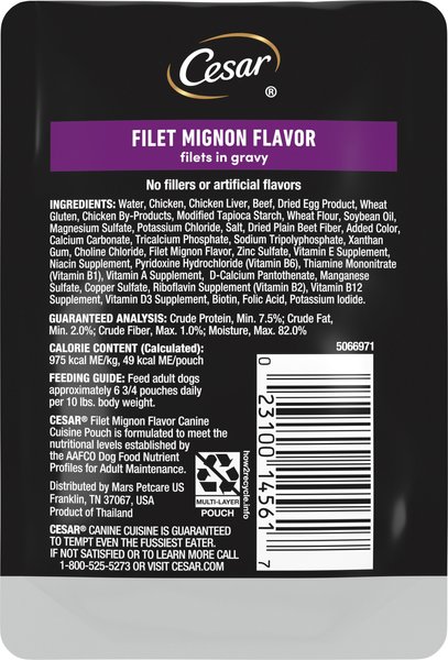 CESAR Filet Mignon Flavor Filets in Gravy Wet Dog Food, 1.76-oz mini ...