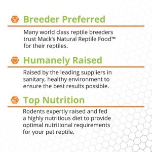 10 Best Snake Foods 2025: According to Reviews | Chewy