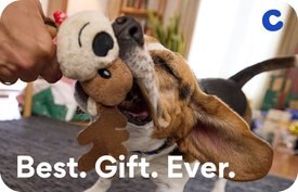 CHEWY eGift Card, Chewy Pet Lovers, $25 - Chewy.com