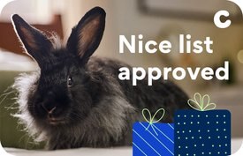 CHEWY eGift Card, Birthday Sprinkles, $200 - Chewy.com