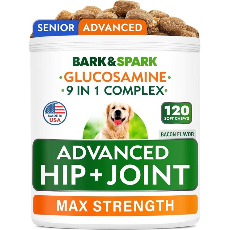 Bark&Spark - Free shipping | Chewy