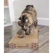SMARTYKAT Super Scratcher with Catnip Cat Scratcher, Wide - Chewy.com