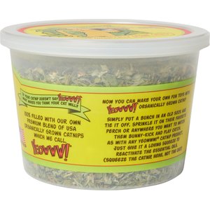 10 Best Catnip & Cat Grass 2025: According to Reviews | Chewy