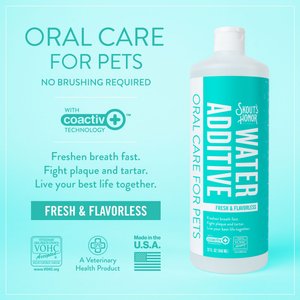 10 Best Water Additives for Cats 2024: According to Reviews | Chewy