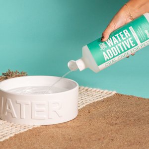 9 Best Water Additives for Cats 2024: According to Reviews | Chewy