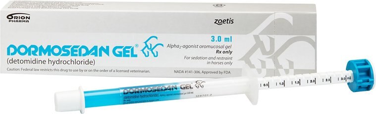 Horse Medicine: Prescription Horse Pharmacy Meds (Ships Free) | Chewy RX