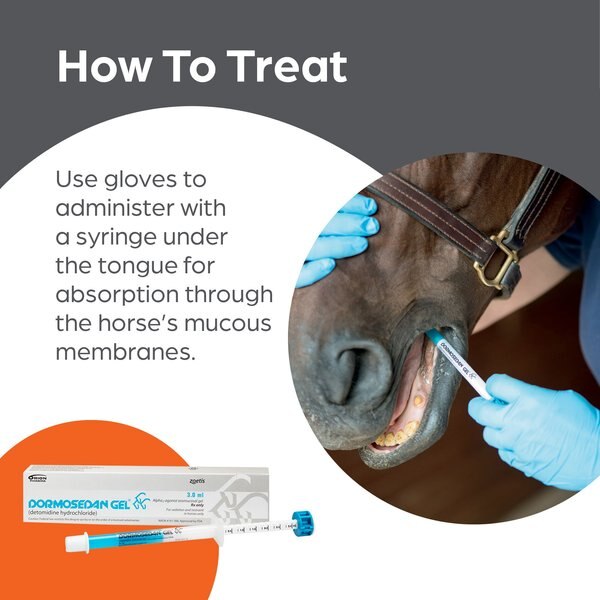 DORMOSEDAN Gel for Horses, 7.6 mg/mL, 3-mL oral syringe - Chewy.com