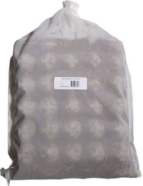 PREDATOR FOODS Live Mealworms, Large, 5,000 count - Chewy.com