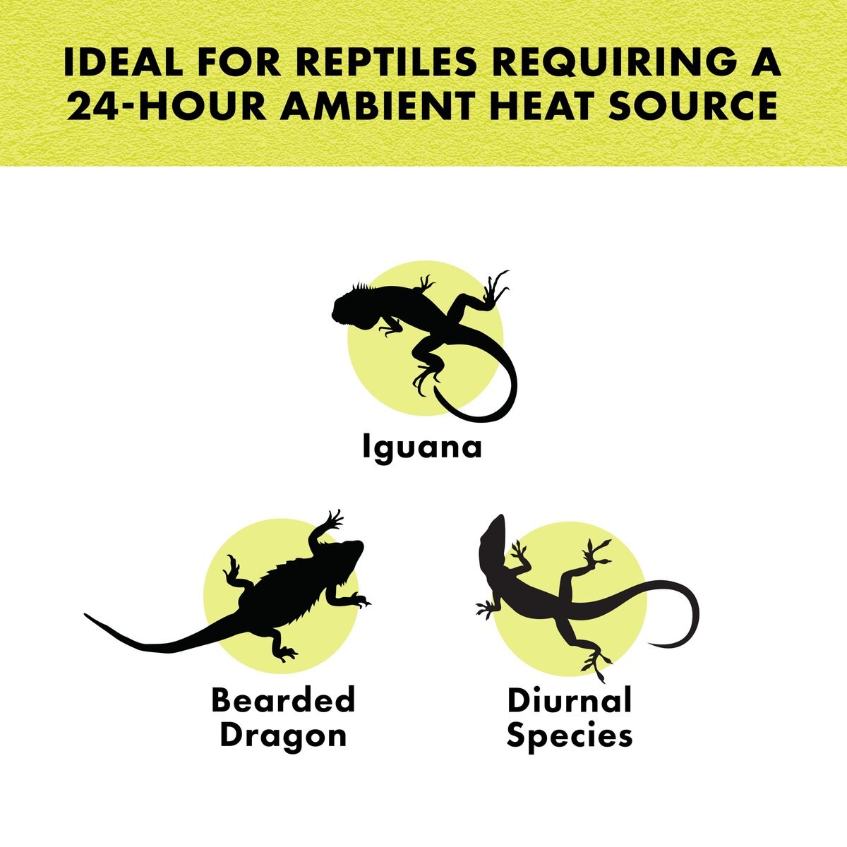 ZILLA Night Black Heat Incandescent Spot Reptile Bulb, 150-watt - Chewy.com