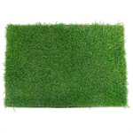 EXO TERRA Sand Mat Desert Terrarium Reptile Substrate, 35.5-in - Chewy.com